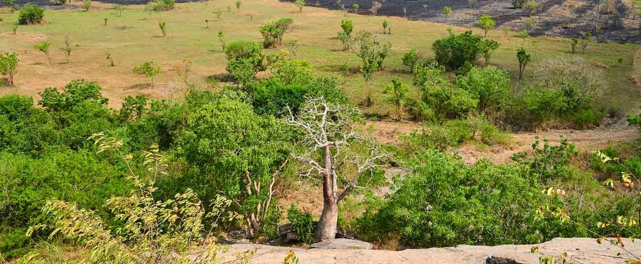 Ghana’s Savannah Agriculture Value Chain Development Project receives ...